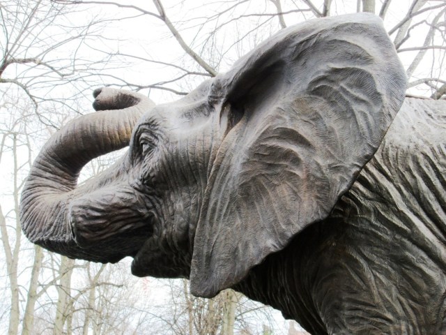 Tufts’ Monumental Mascot: Jumbo by Steven Whyte | Art Outdoors