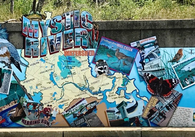 Mystic River Mural Project is an Impressive Ongoing Story | Art Outdoors