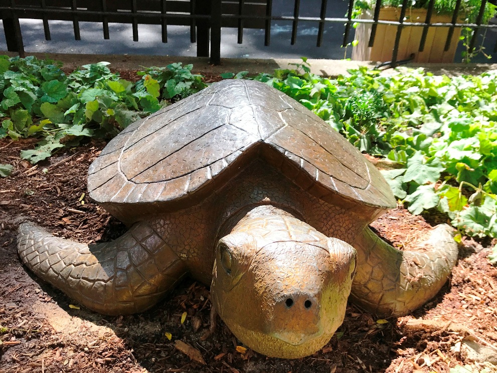 Applaud Playground Turtles and their Creators: Nancy Schön and Lilli ...