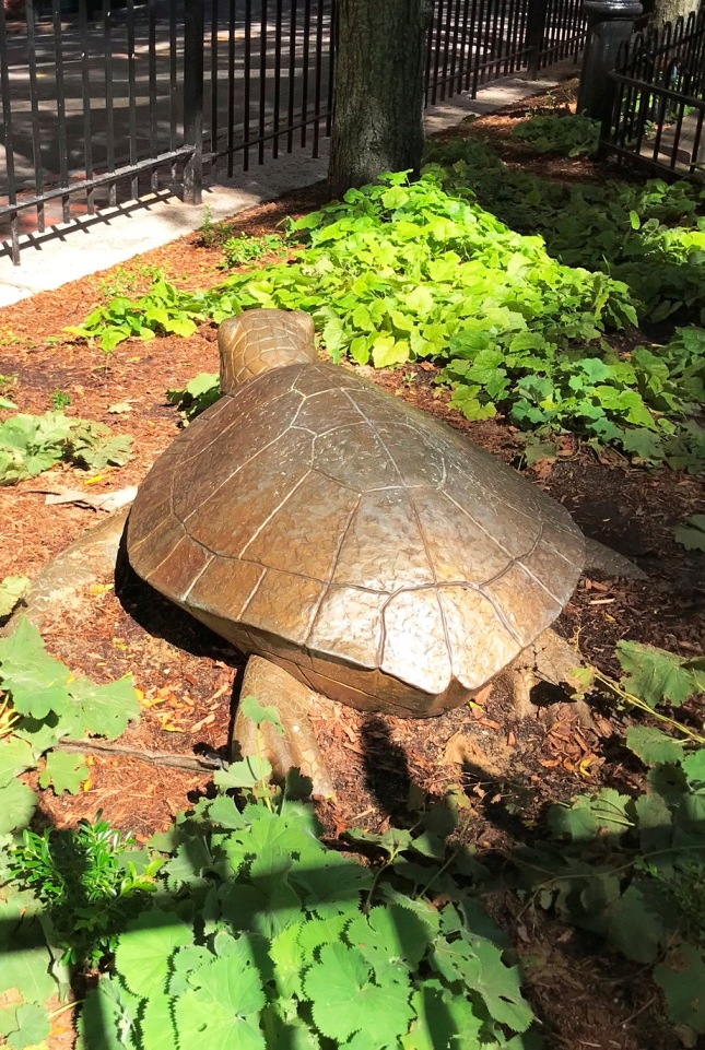 Applaud Playground Turtles and their Creators: Nancy Schön and Lilli ...