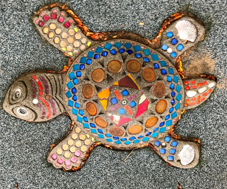 Applaud Playground Turtles and their Creators: Nancy Schön and Lilli ...