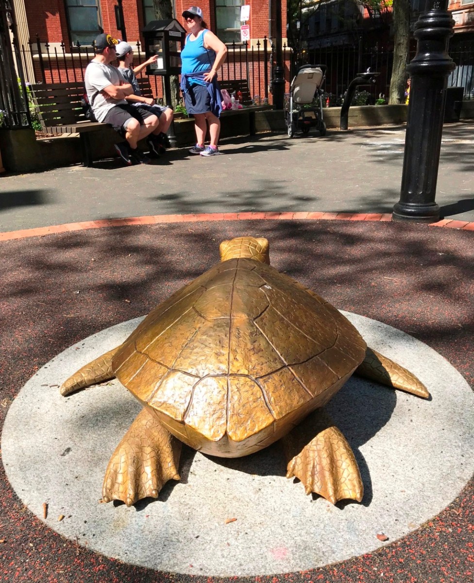 Applaud Playground Turtles and their Creators: Nancy Schön and Lilli ...