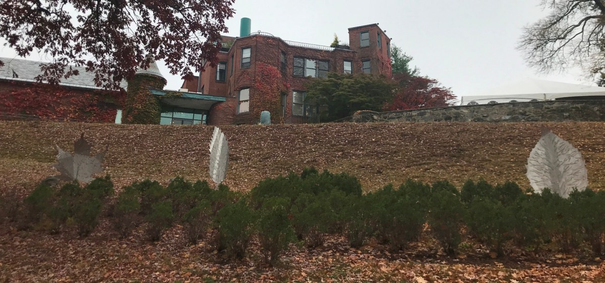 Art Grows from Trees: Alan Sonfist and Richard Rosenblum at deCordova ...