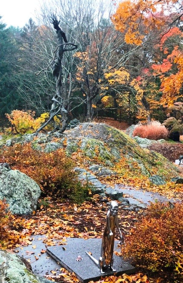 Art Grows from Trees: Alan Sonfist and Richard Rosenblum at deCordova ...