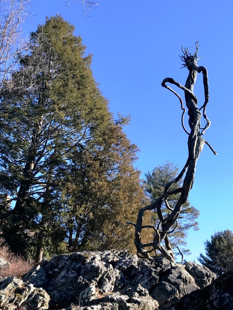 Art Grows from Trees: Alan Sonfist and Richard Rosenblum at deCordova ...