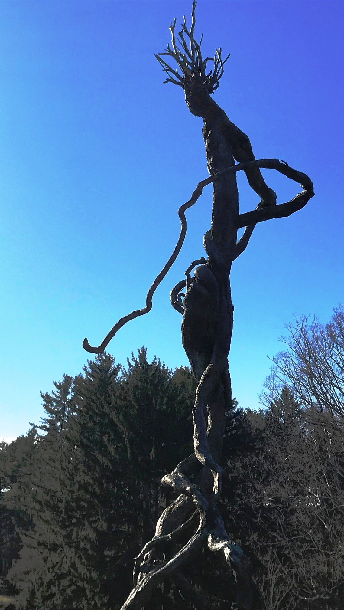 Art Grows from Trees: Alan Sonfist and Richard Rosenblum at deCordova ...