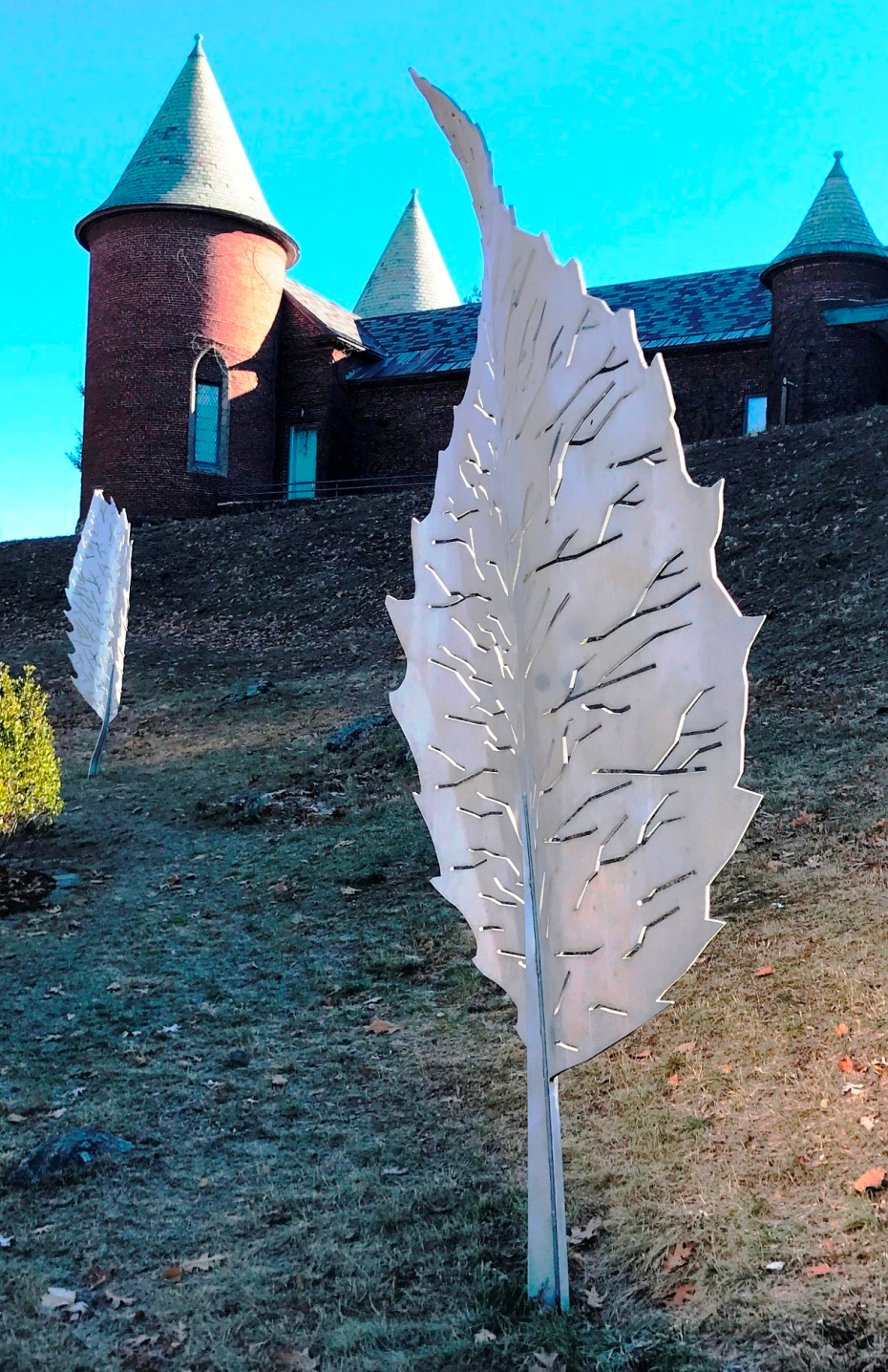 Art Grows from Trees: Alan Sonfist and Richard Rosenblum at deCordova ...