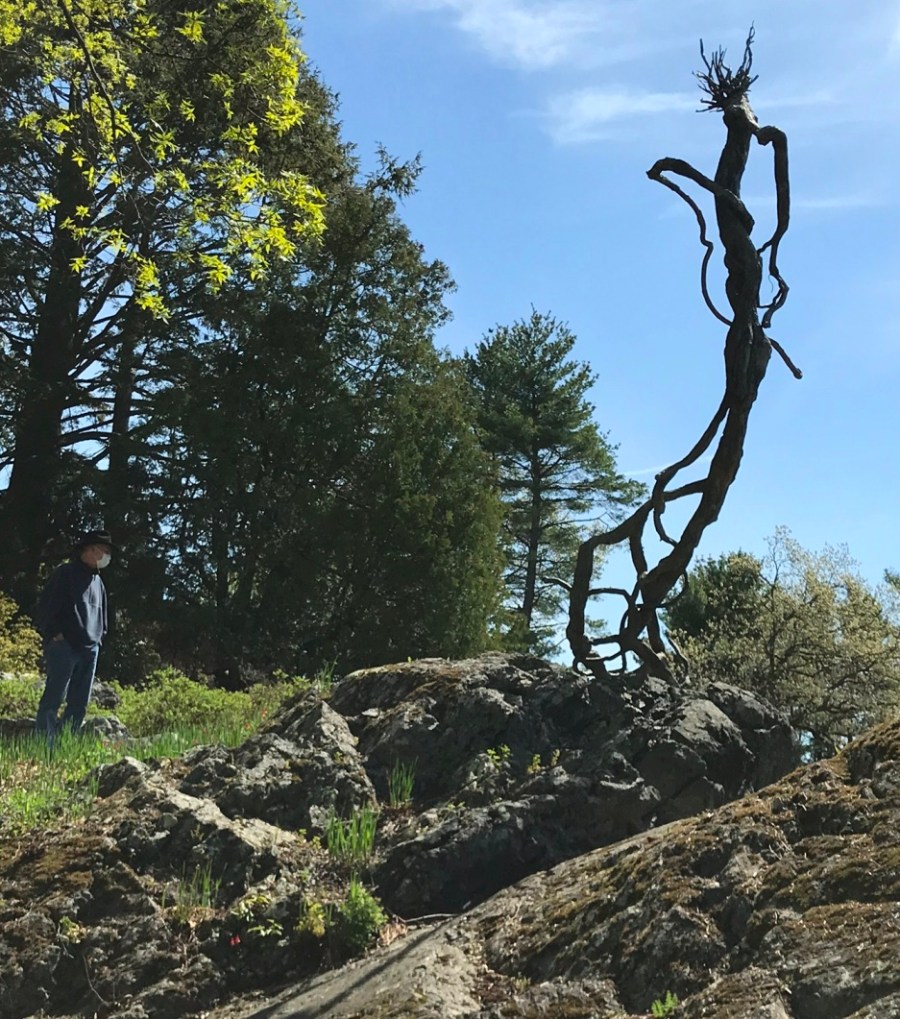 Art Grows from Trees: Alan Sonfist and Richard Rosenblum at deCordova ...