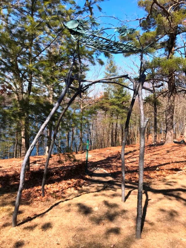 Metal Preserves and Transforms Features of Trees in Art by Ed Shay and ...