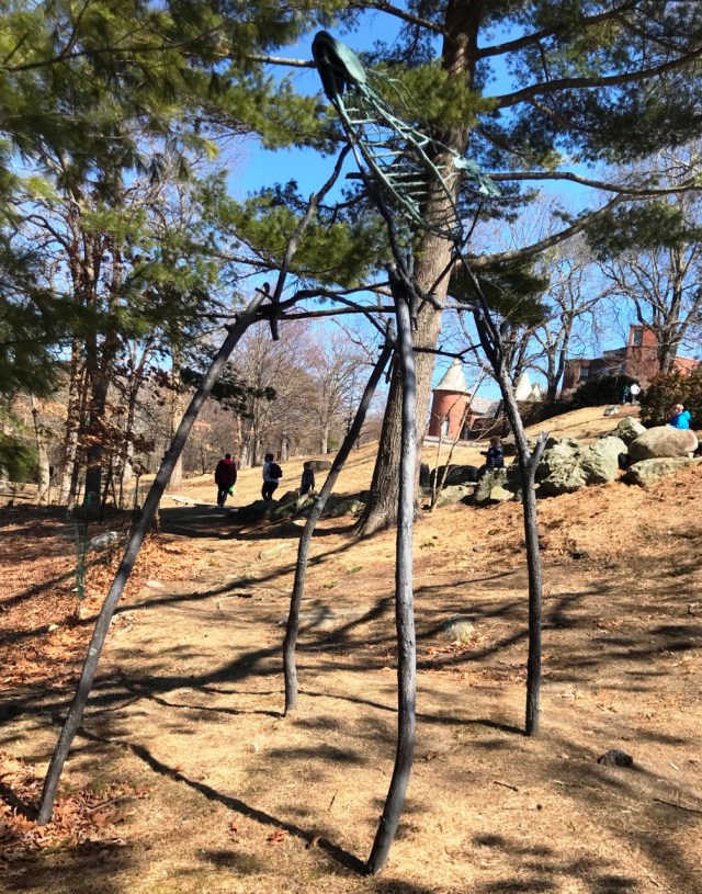 Metal Preserves and Transforms Features of Trees in Art by Ed Shay and ...