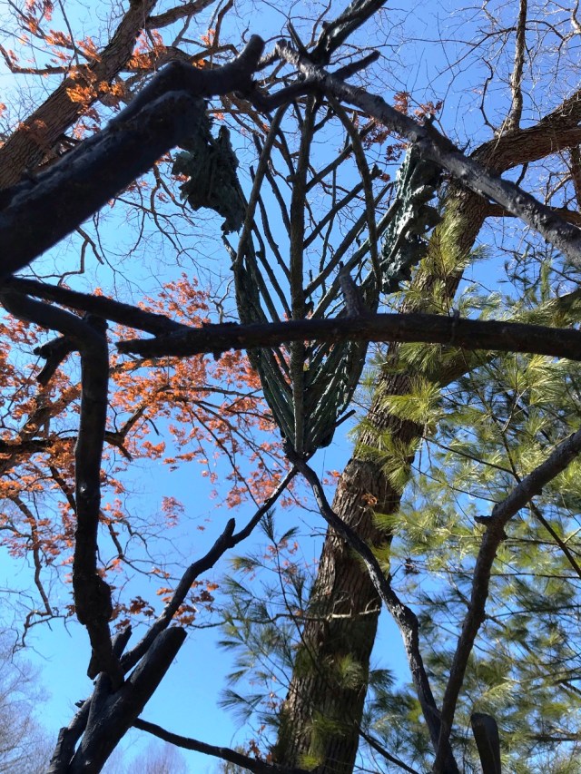 Metal Preserves and Transforms Features of Trees in Art by Ed Shay and ...