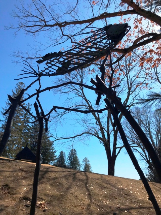 Metal Preserves and Transforms Features of Trees in Art by Ed Shay and ...