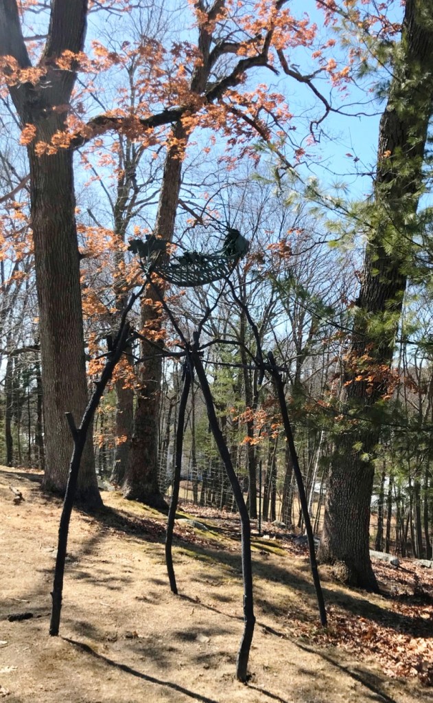 Metal Preserves and Transforms Features of Trees in Art by Ed Shay and ...