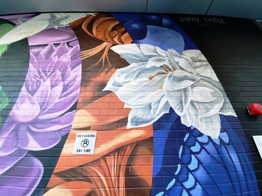 KENDALL SQUARE ART WALK: A Great Way to Find and Focus on Public Art ...