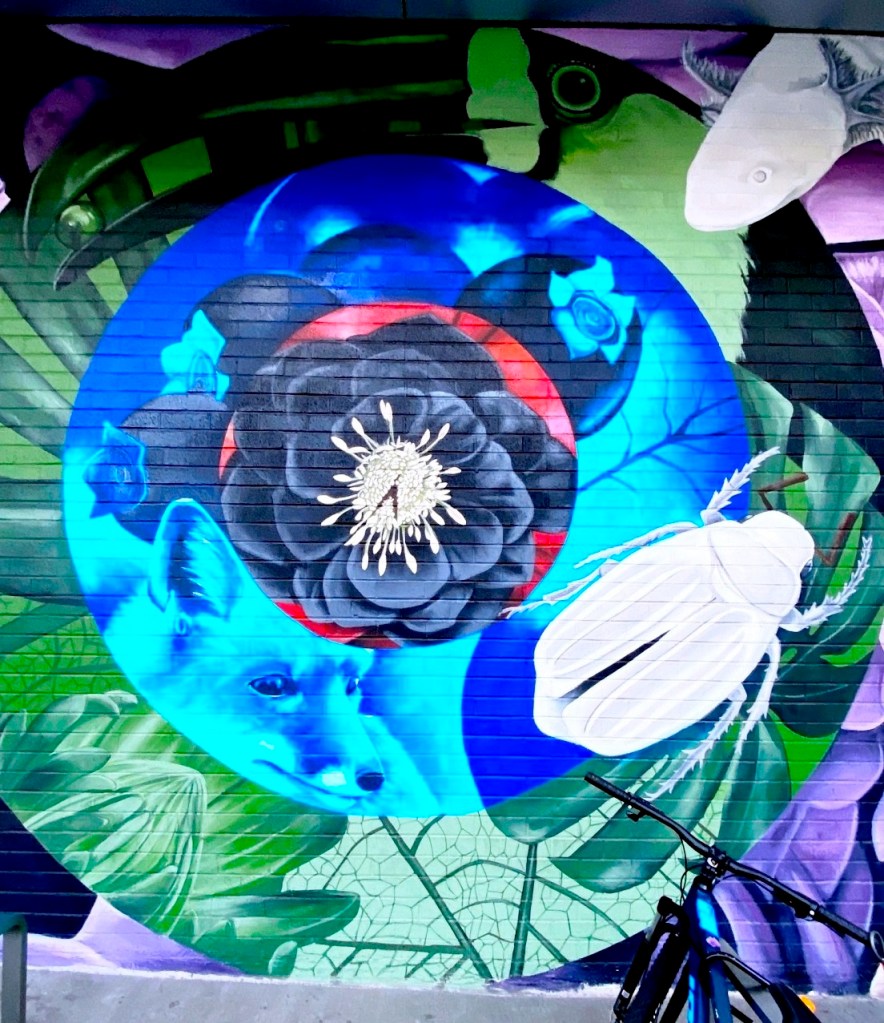 KENDALL SQUARE ART WALK: A Great Way to Find and Focus on Public Art ...