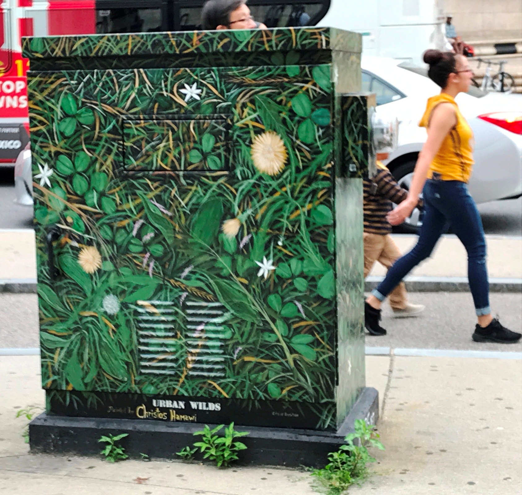 The Beauty of Utility Boxes as Public Art: Samples and Plans | Art Outdoors