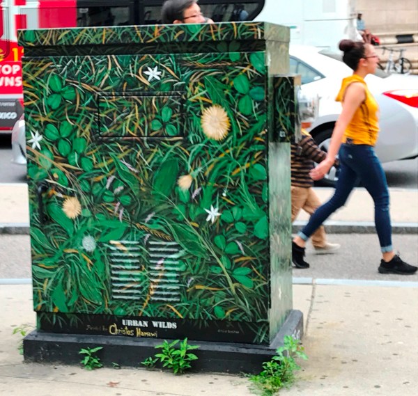 The Beauty of Utility Boxes as Public Art: Samples and Plans | Art Outdoors