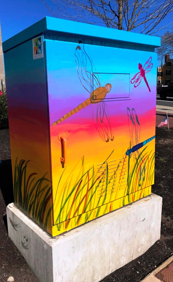 The Beauty of Utility Boxes as Public Art: Samples and Plans | Art Outdoors