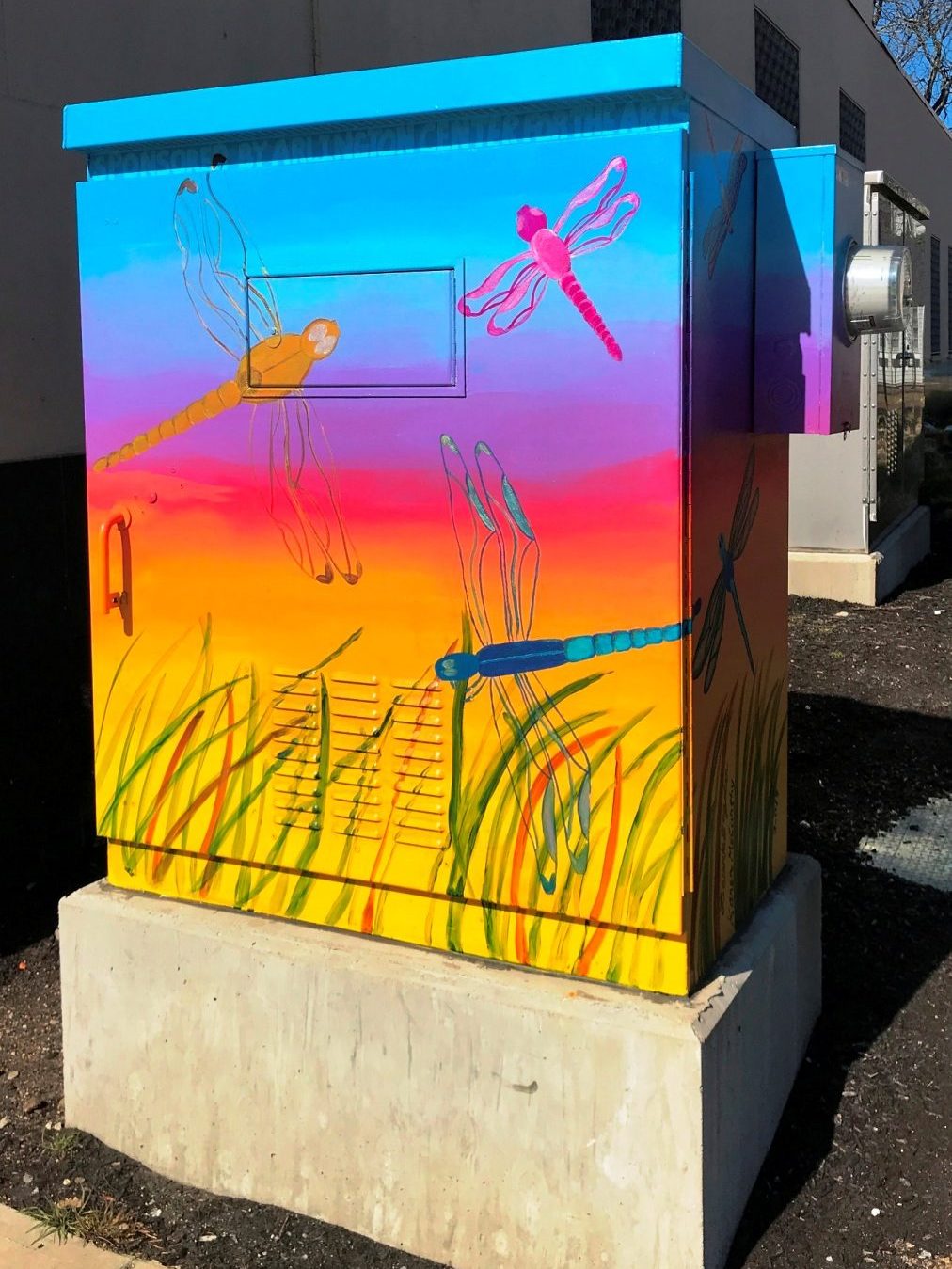 The Beauty of Utility Boxes as Public Art: Samples and Plans | Art Outdoors