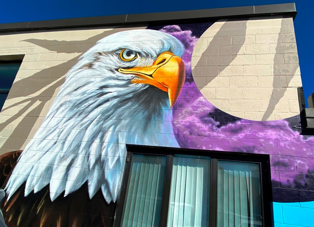 Focus on Sophy Tuttle’s Memorial Mural for an Eagle Named MK | Art Outdoors