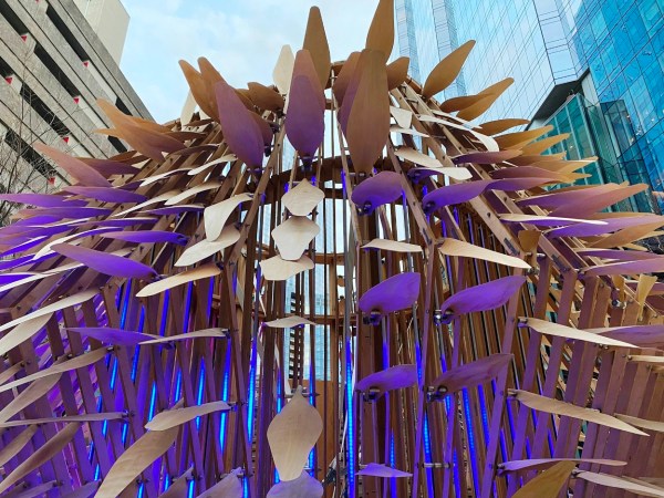Explore Another Winteractive Highlight: Living Lantern by NEON Studio ...
